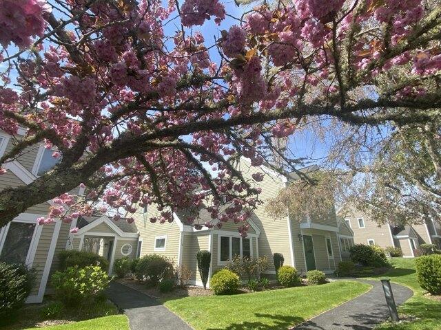 condo with 2 bedroom, Brewster MA DS103850820