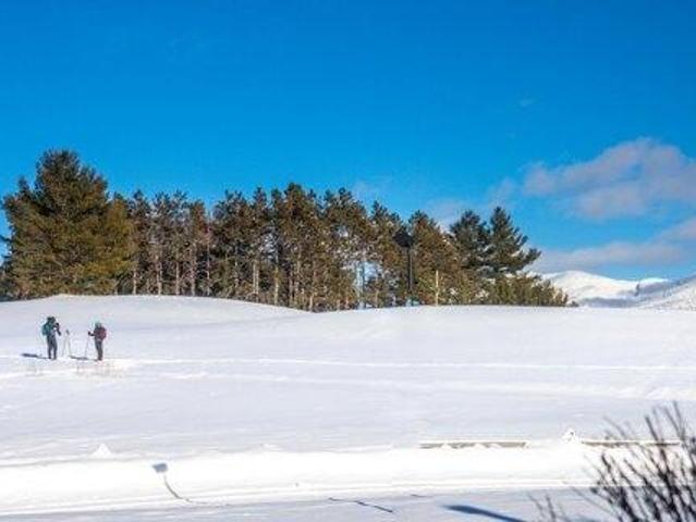 condo with 2 bedroom, Lake Placid NY DLS88552959