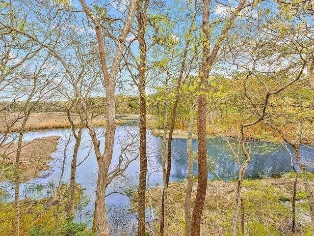 condo with 2 bedroom, Mashpee MA DLS103036452