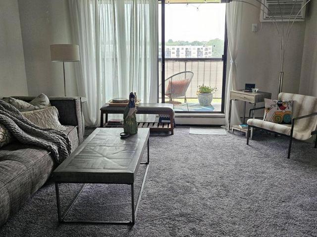 condo with 2 bedroom, Minneapolis MN DLS101012134