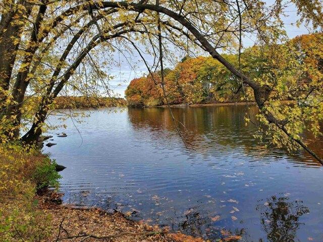 condo with 2 bedroom, Nashua NH DS102026716