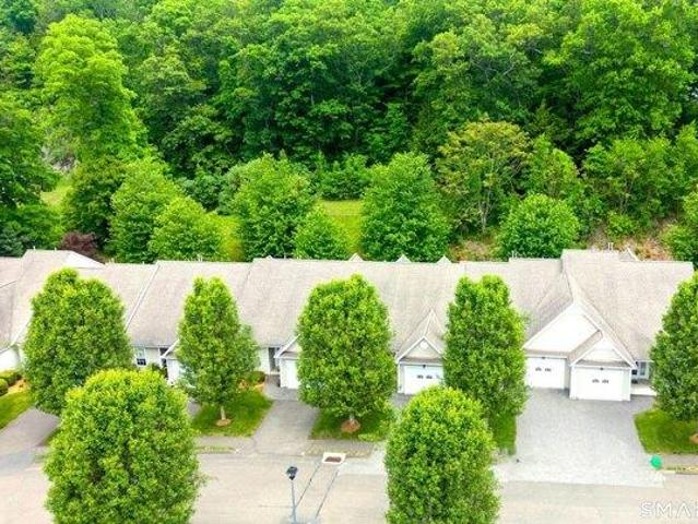 condo with 2 bedroom, Newtown CT ES104544062