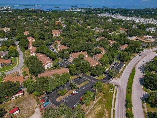 condo with 2 bedroom, Palm Harbor FL DLS89204765