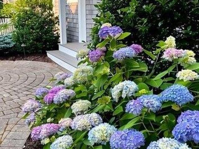 condo with 2 bedroom, Plymouth MA DS102633669