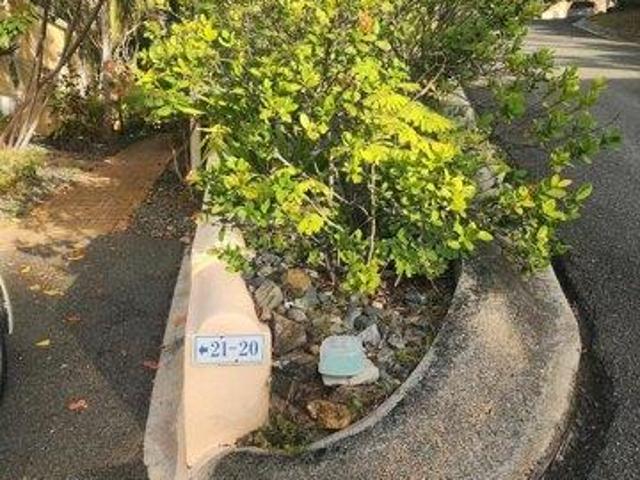 condo with 2 bedroom, Saint Croix IN DS103849567