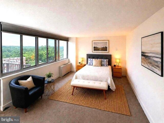 condo with 2 bedroom, Silver Spring MD DS103626821