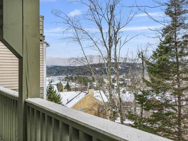 condo with 2 bedroom, Stowe VT DLS102476826