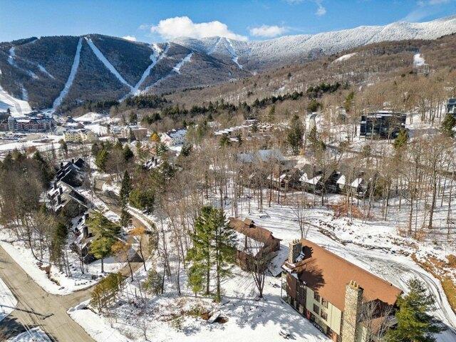 condo with 3 bedroom, Warren VT DS103159803