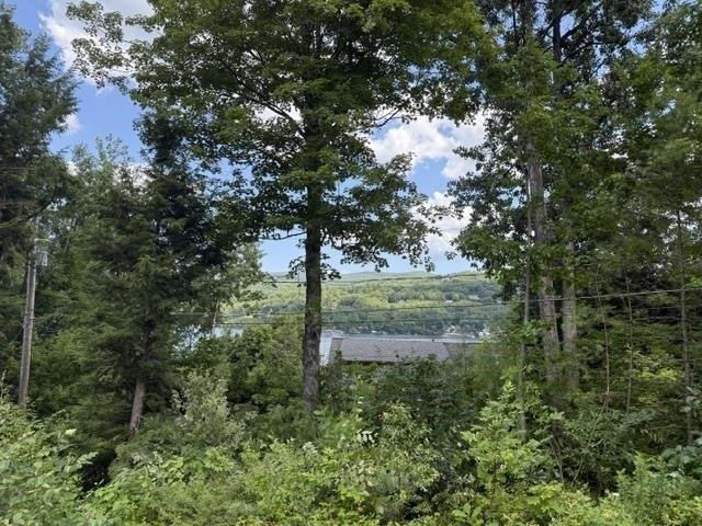 condo with 3 bedroom, Bristol NH ES105126434