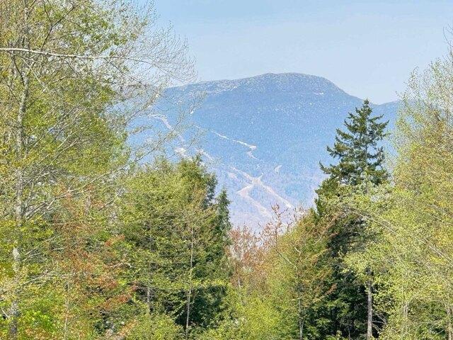 condo with 3 bedroom, Stowe VT DS103160297