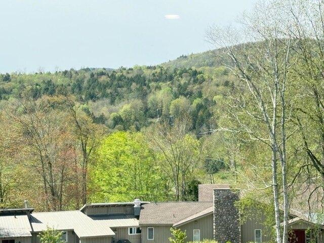 condo with 3 bedroom, Stowe VT ES103160297