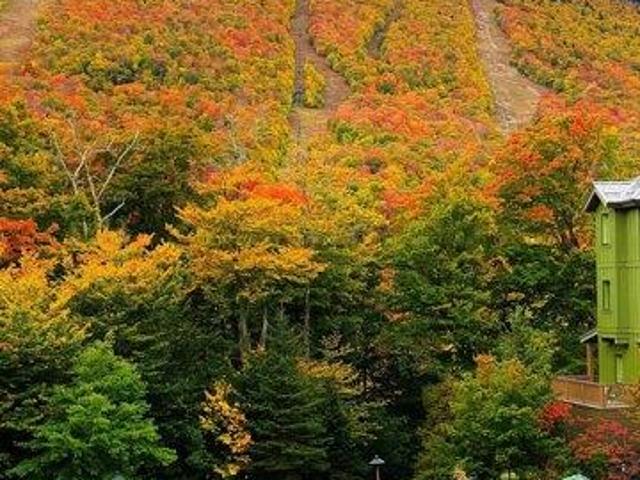 condo with 4 bedroom, Stowe VT ES104299669