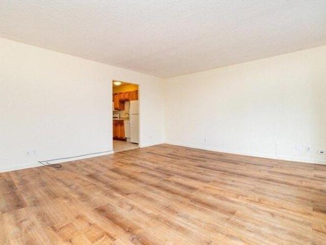 condo Brookline MA DS103220661
