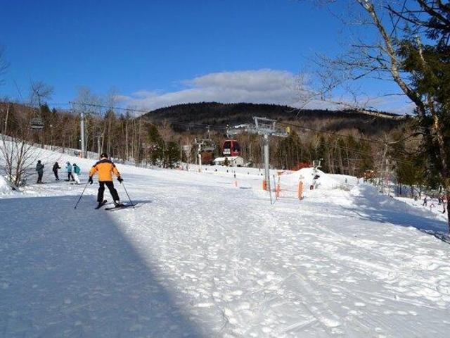 condo Newry ME DLS102157738