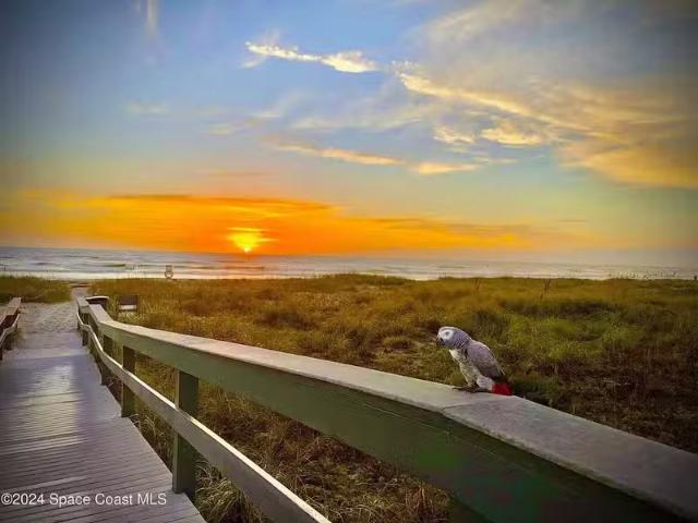 Condominium, Traditional Cocoa Beach, FL 1890 N Atlantic Av.