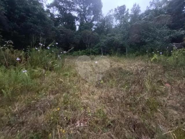 Condomínio à venda em Boracéia SP