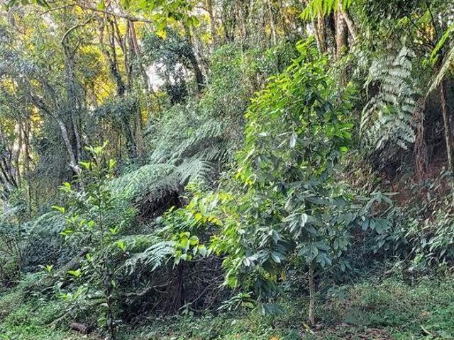 Condomínio à venda em Roseira SP