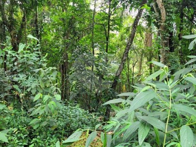 Condomínio à venda em Roseira SP