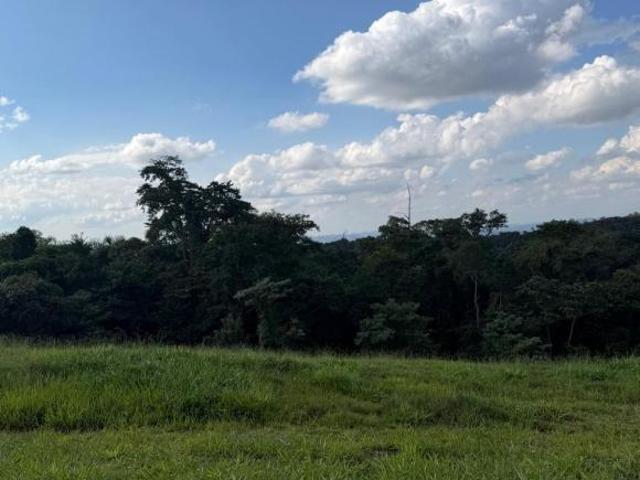 CONDOMINIO ALTAVIS Terreno à venda no bairro Sítio do Morro Santana de Parnaíba/SP