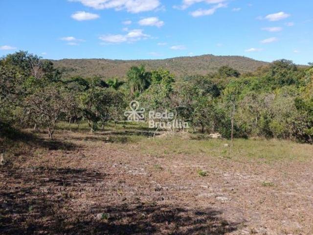 Condomínio Belvedere Green Terreno à venda, Jardim Botânico
