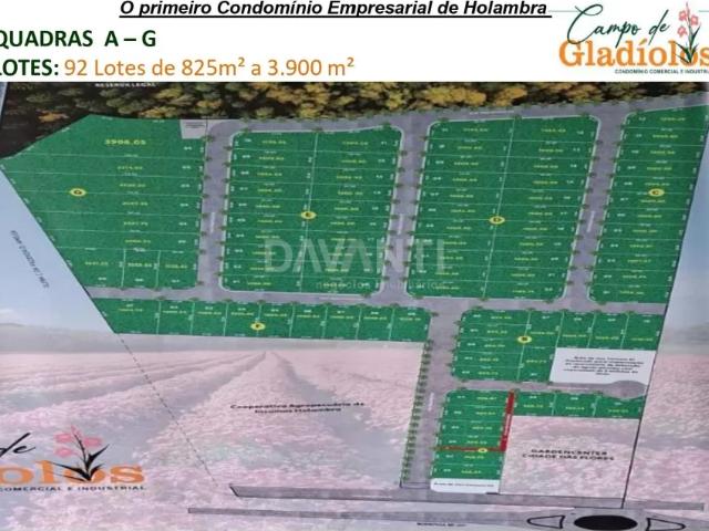 Condomínio Campo de Gladíolos na Davanti Imóveis