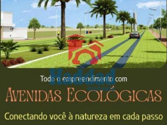 CONDOMINIO DE CHACARAS PROXIMO A CIDADE, BIRIGUI SP