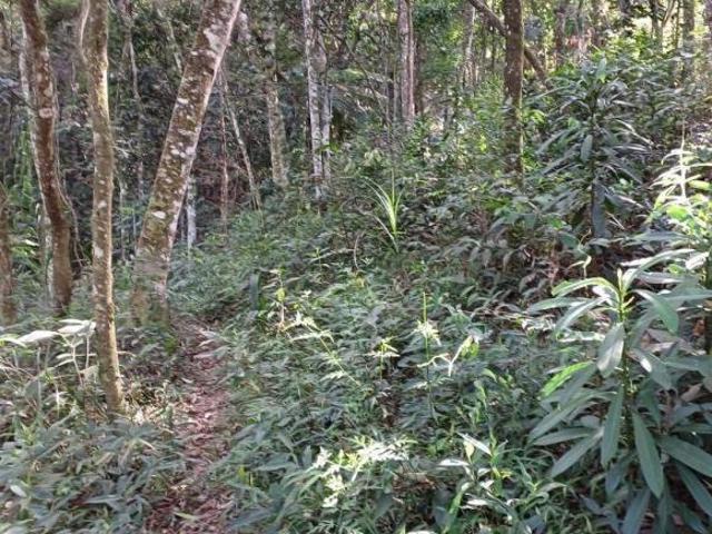 Condomínio Fechado Terreno à venda, 1000 m² por R$ 250.000 Condomínio Canadá Village Mairiporã