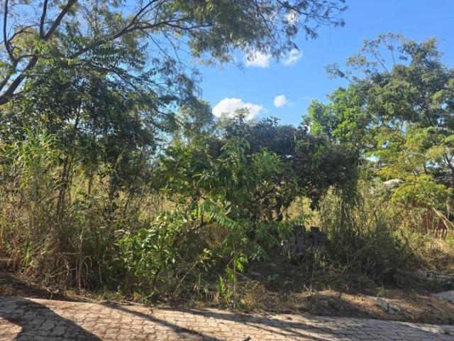 Condomínio Verde Jardim Botânico
