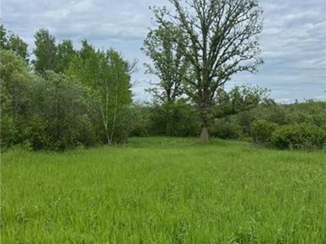 Coneflower Ln SW, Pine River, MN 56474
