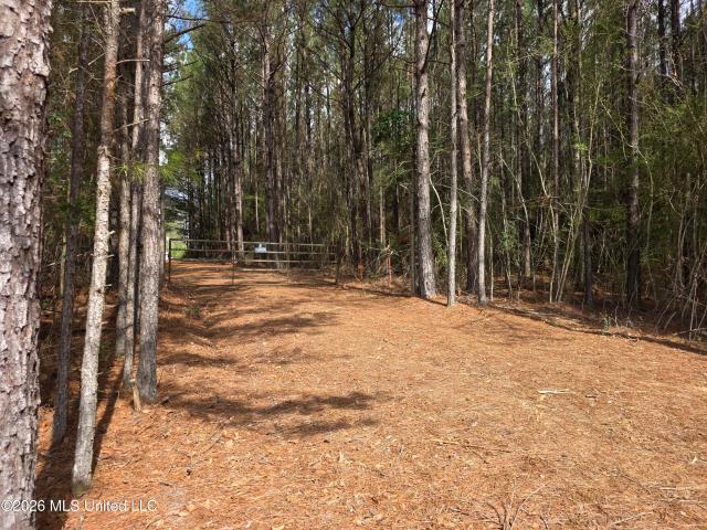 Conerly Drive, McComb, MS 39648