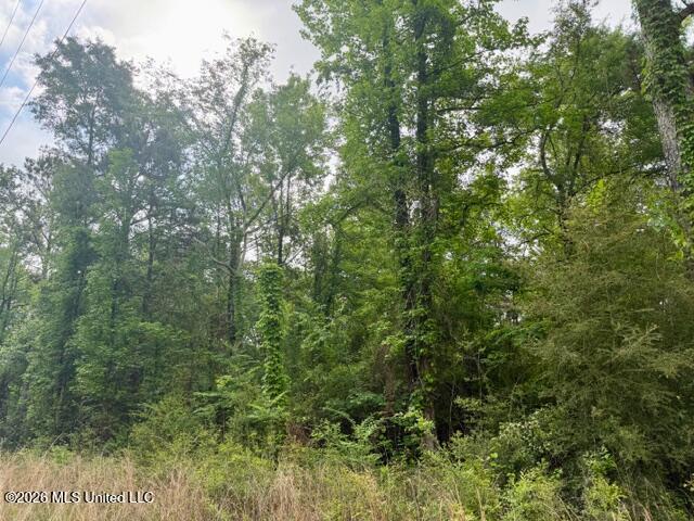 Conerly Drive, McComb, MS 39648