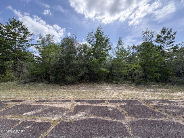 Confetti Pl Lot 2, Chipley, FL 32428