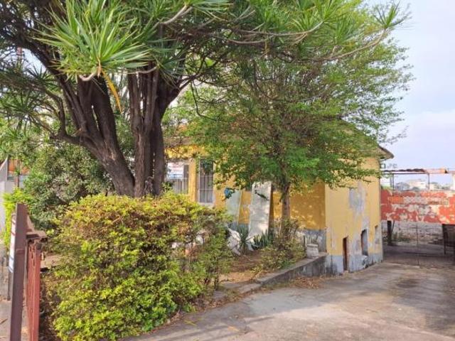 Atraente terreno residencial para venda em Chora Menino, 366m² niezete gomes1#NB2X7