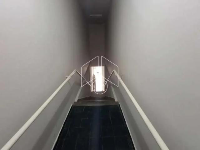 Conj. Comercial / Sala para Locação em Marília/SP Alto Cafezal