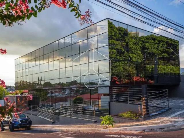Conj. Comercial / Sala para Locação em Marília/SP Boa Vista