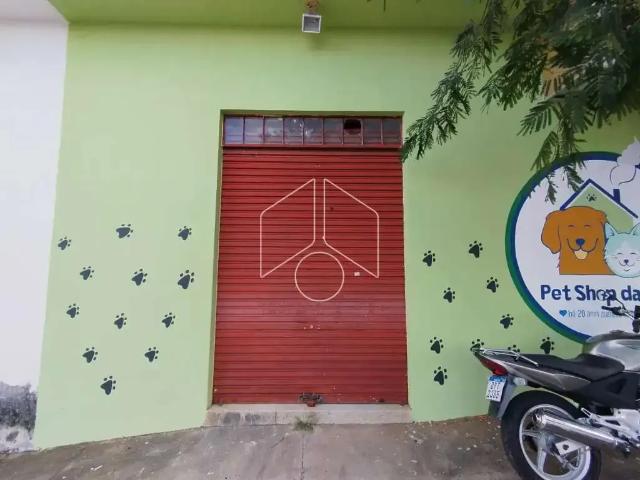 Conj. Comercial / Sala para Locação em Marília/SP César de Almeida