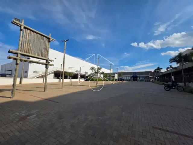 Conj. Comercial / Sala para Locação em Marília/SP Fragata