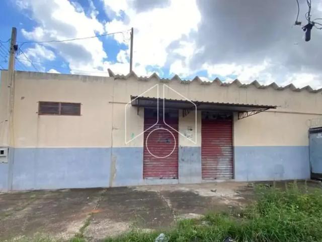 Conj. Comercial / Sala para Locação em Marília/SP Hípica Paulista 4 Quartos