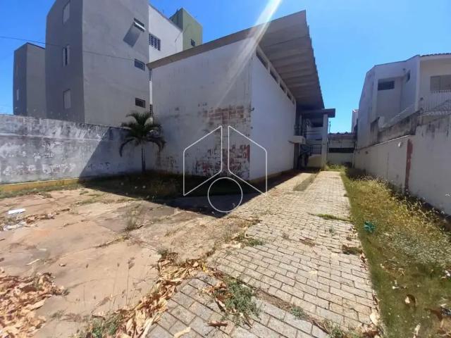 Conj. Comercial / Sala para Locação em Marília/SP Jardim Araxá