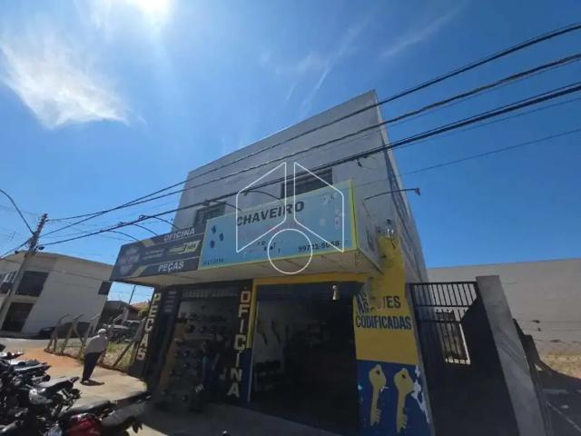 Conj. Comercial / Sala para Locação em Marília/SP Jardim Monte Castelo