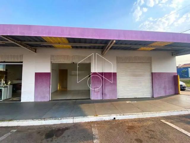Conj. Comercial / Sala para Locação em Marília/SP Jardim Marajó