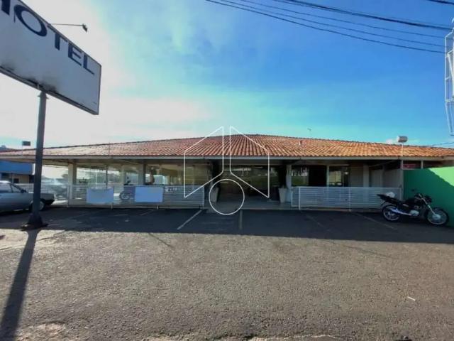 Conj. Comercial / Sala para Locação em Marília/SP Jardim Santa Antonieta