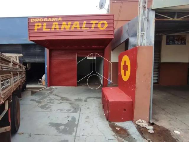 Conj. Comercial / Sala para Locação em Marília/SP Jardim Planalto