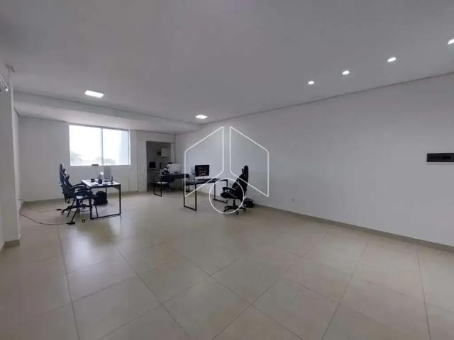 Conj. Comercial / Sala para Locação em Marília/SP Jardim Tangará