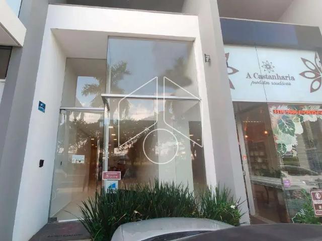Conj. Comercial / Sala para Locação em Marília/SP Jardim Tangará