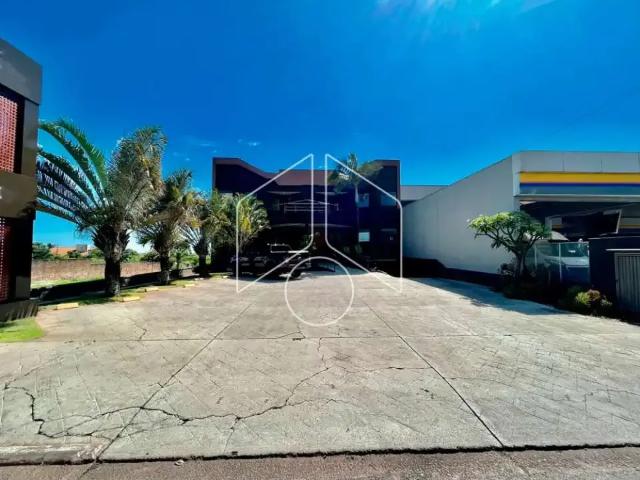 Conj. Comercial / Sala para Locação em Marília/SP Jardim Tangará