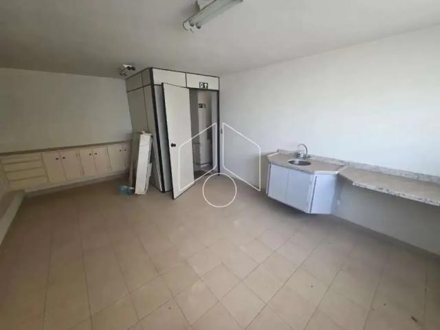 Conj. Comercial / Sala para Locação em Marília/SP Marília