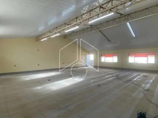Conj. Comercial / Sala para Locação em Marília/SP Marília