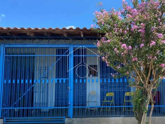 Conj. Comercial / Sala para Locação em Marília/SP Núcleo Habitacional Nova Marília