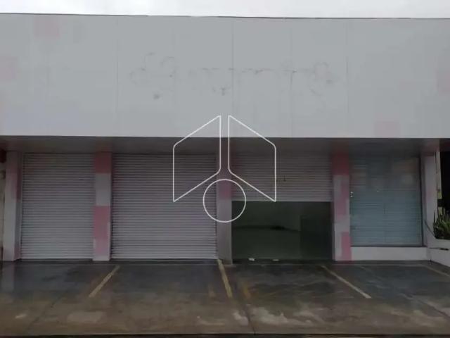 Conj. Comercial / Sala para Locação em Marília/SP Núcleo Habitacional Nova Marília